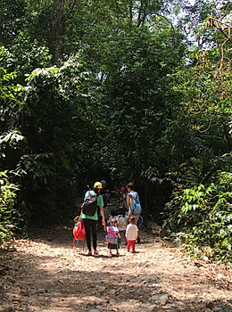 Greentree Montessori | Singapore | Children Programs