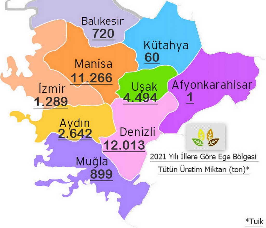 2022 Denizli Tütün Üretimi ve Piyasası | turkishtobacco