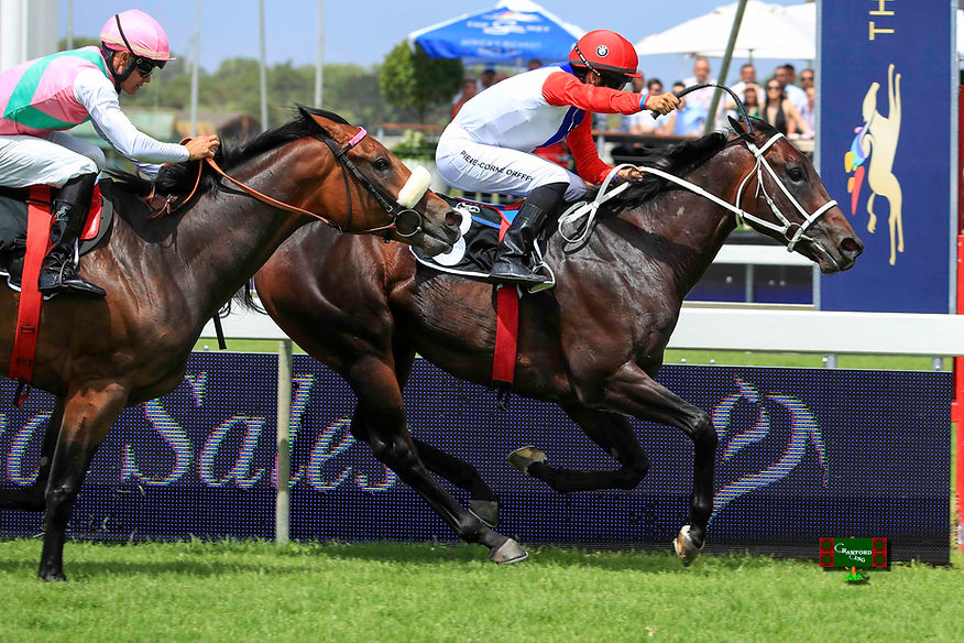 HOME | Crawford Racing