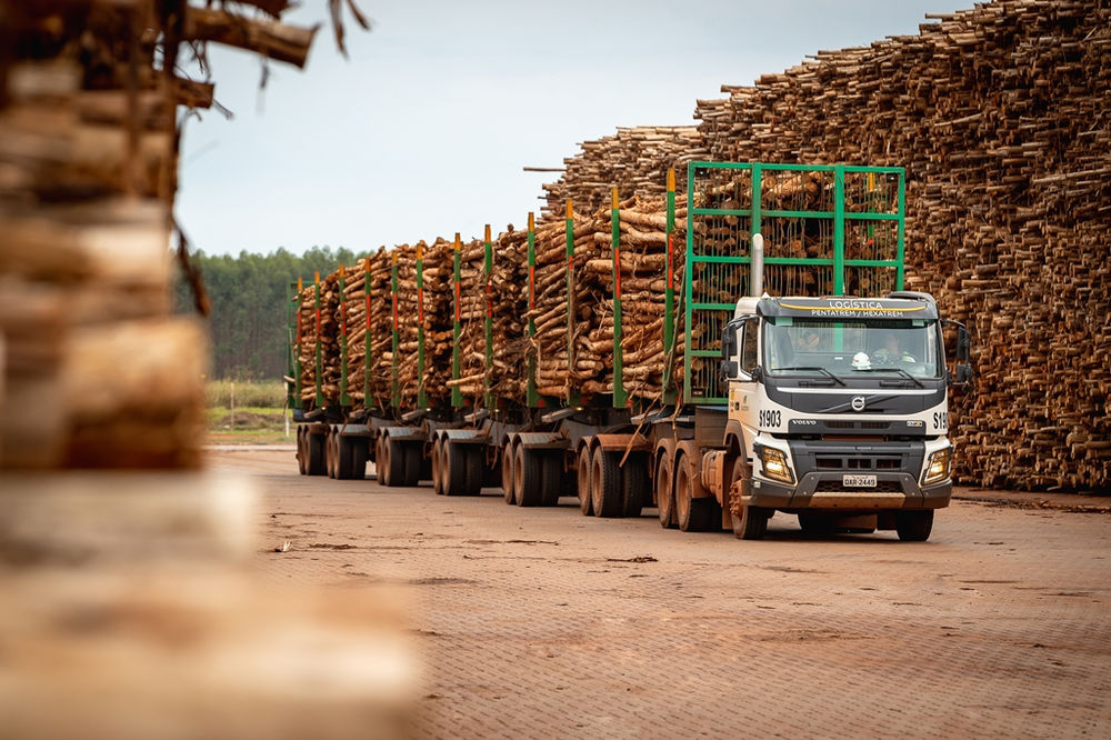 Suzano ganha produtividade com composições Hexatrem para o transporte ...