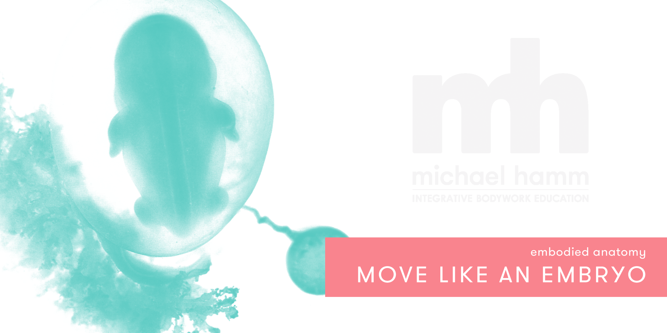 Embodied Anatomy: Move like an Embryo | Integrative Bodywork