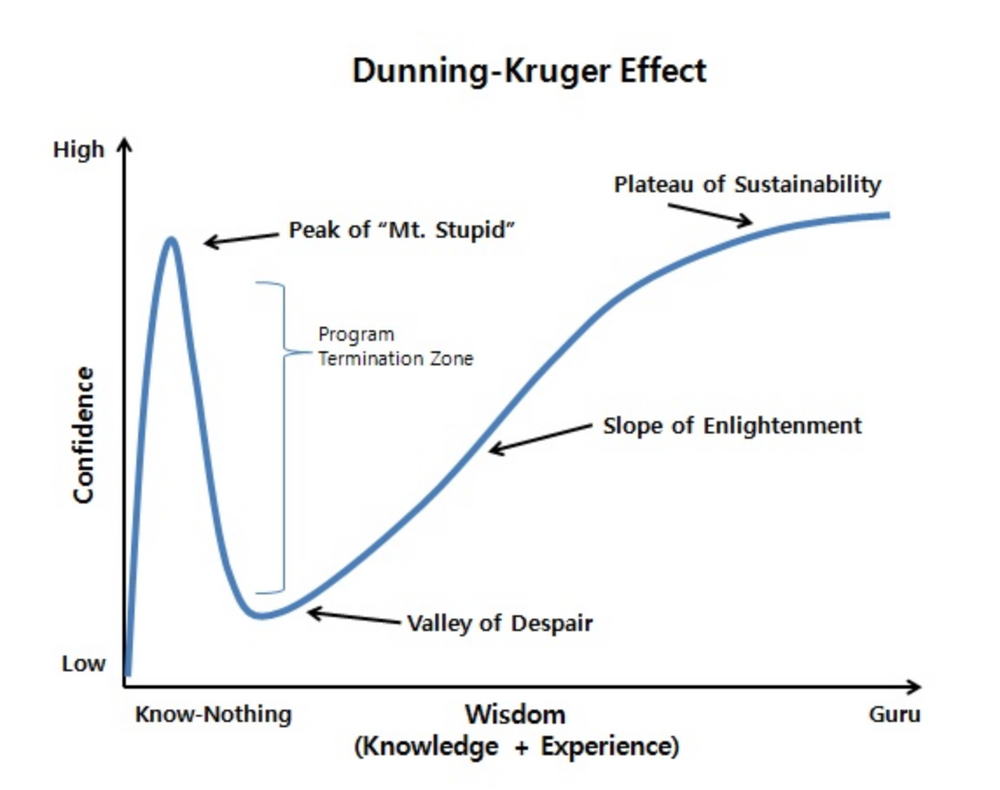 The Peak of Mt. Stupid is an Important Stop Along The Path to Success
