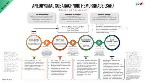 Aneurysmal subarachnoid hemorrhage (SAH) | ICU REACH