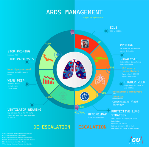 ARDS Management Infographic | ICU REACH