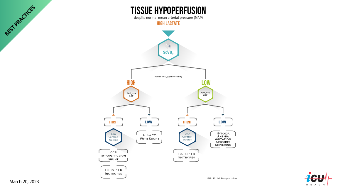 PCO2 v-a Gap in Hypoperfusion State