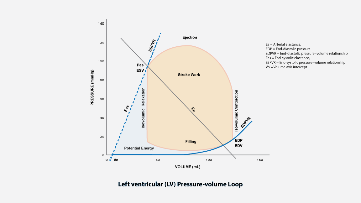 Discussion - Hemodynamics Management | ICU REACH
