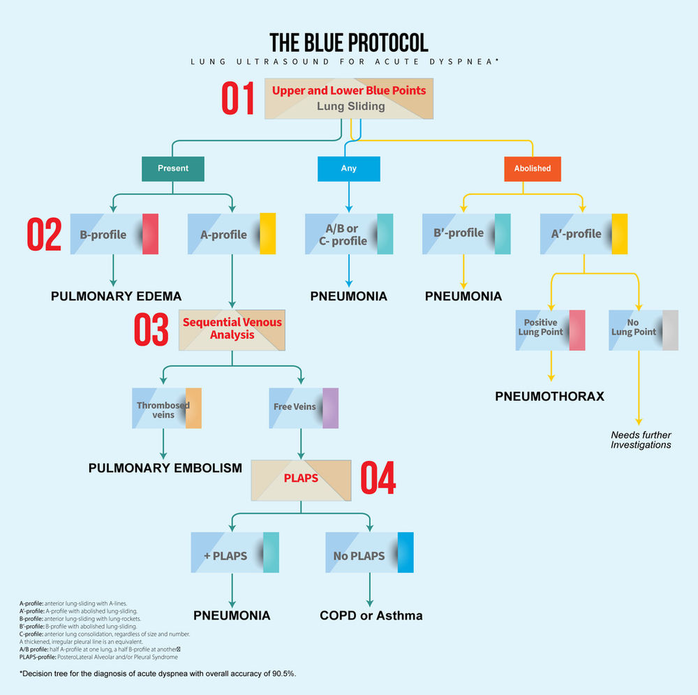 Bedside Lung Ultrasound in Emergency: The Blue-Protocol