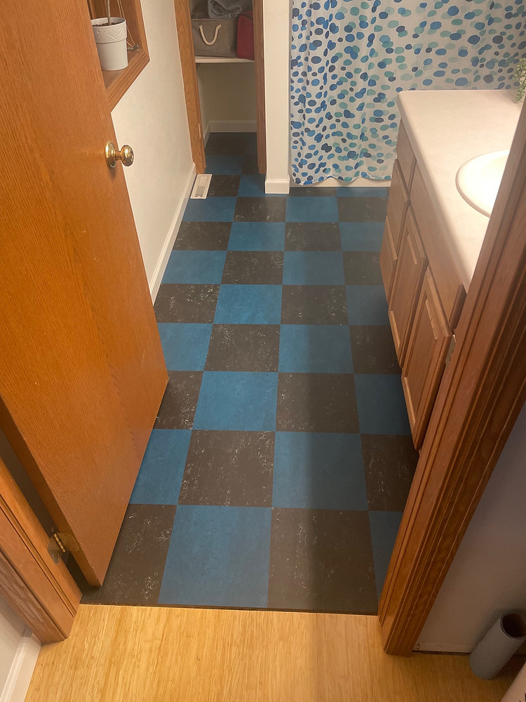 Modern checkerboard natural linoleum bathroom in Oregon, Wisconsin.