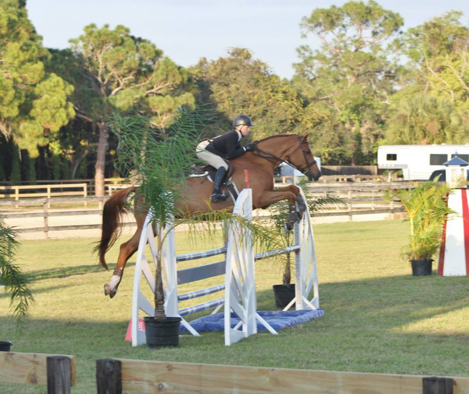 About Us | dreamstead equestrian