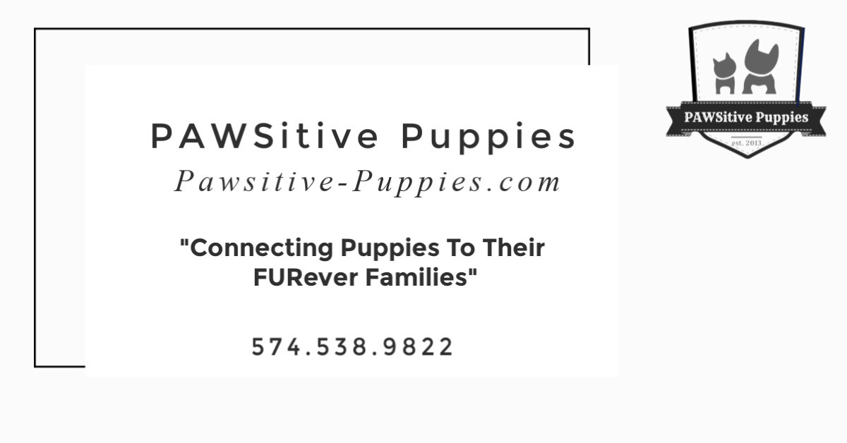 Down Payments | PAWSitive Puppies