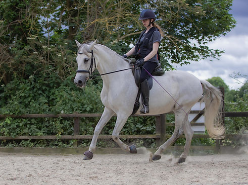 Home | Ham House Stables | Riding Lessons & Livery Greater London
