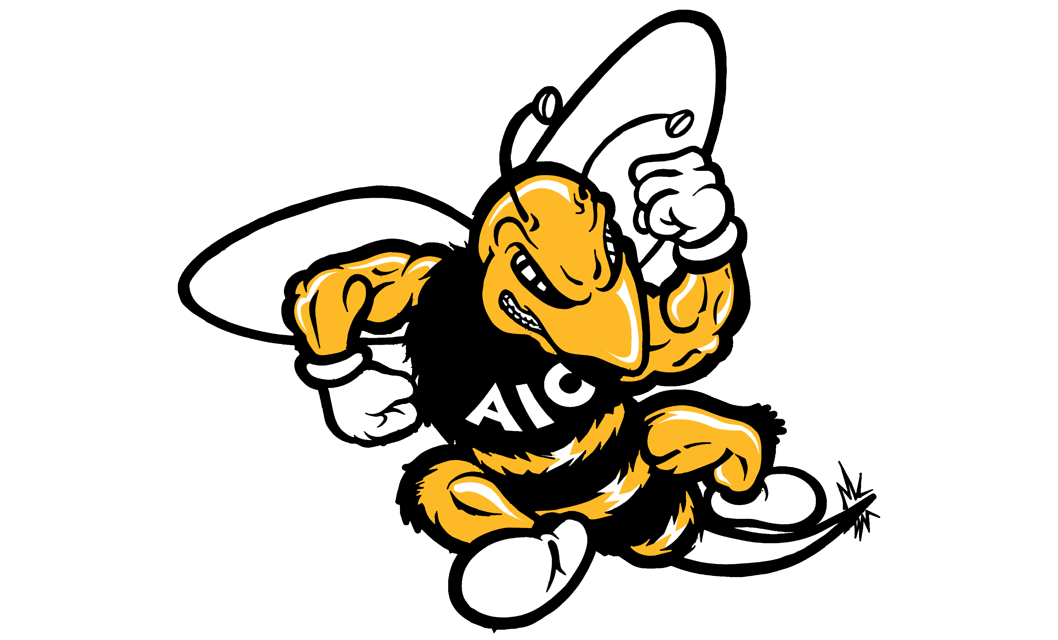 American International College