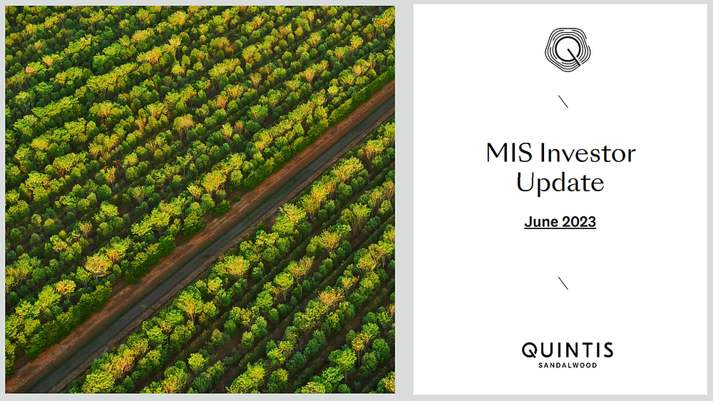 MIS Investor Update June 2023
