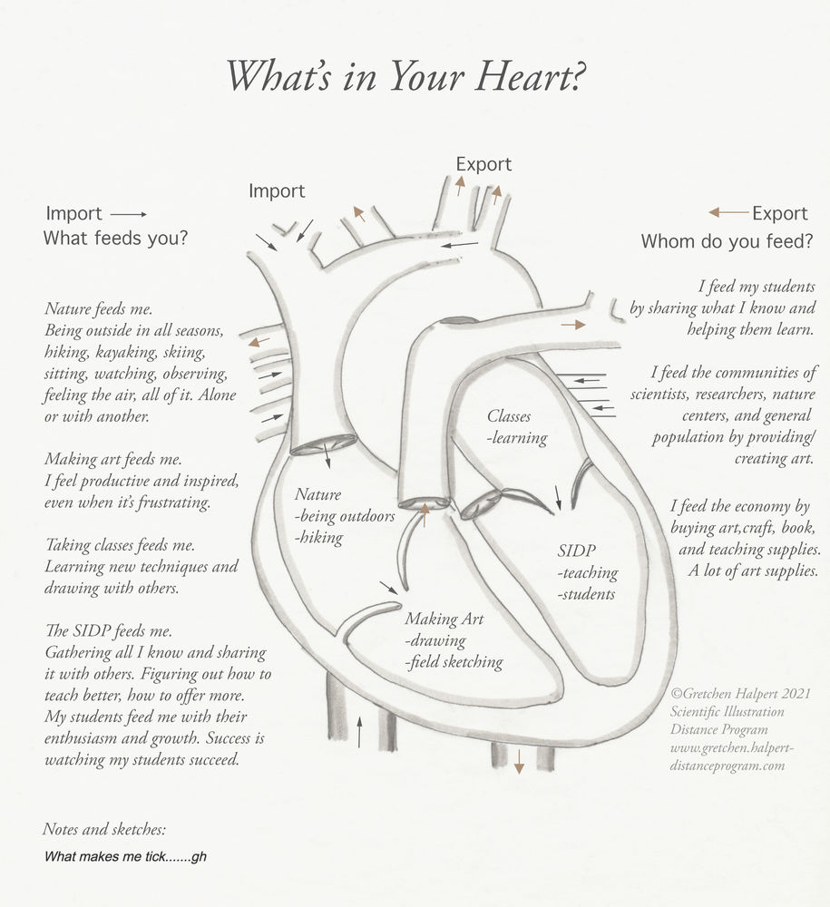 What's in Your Heart?