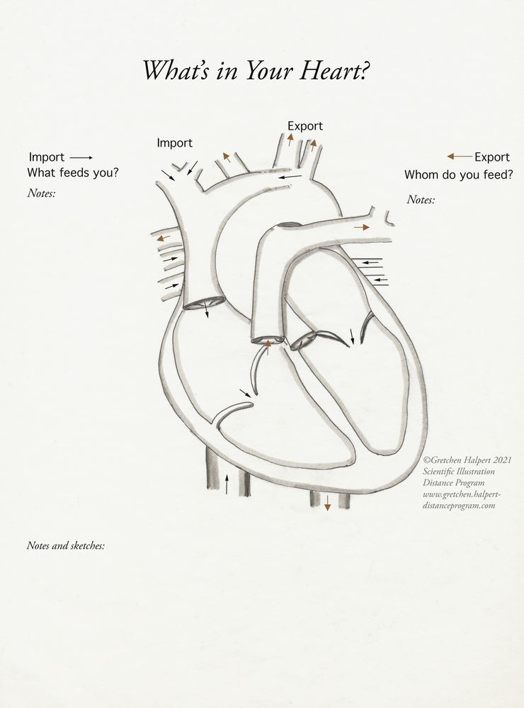 What's in Your Heart?