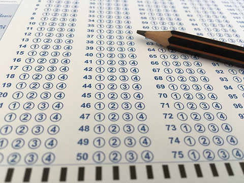 Home | The Study Zone