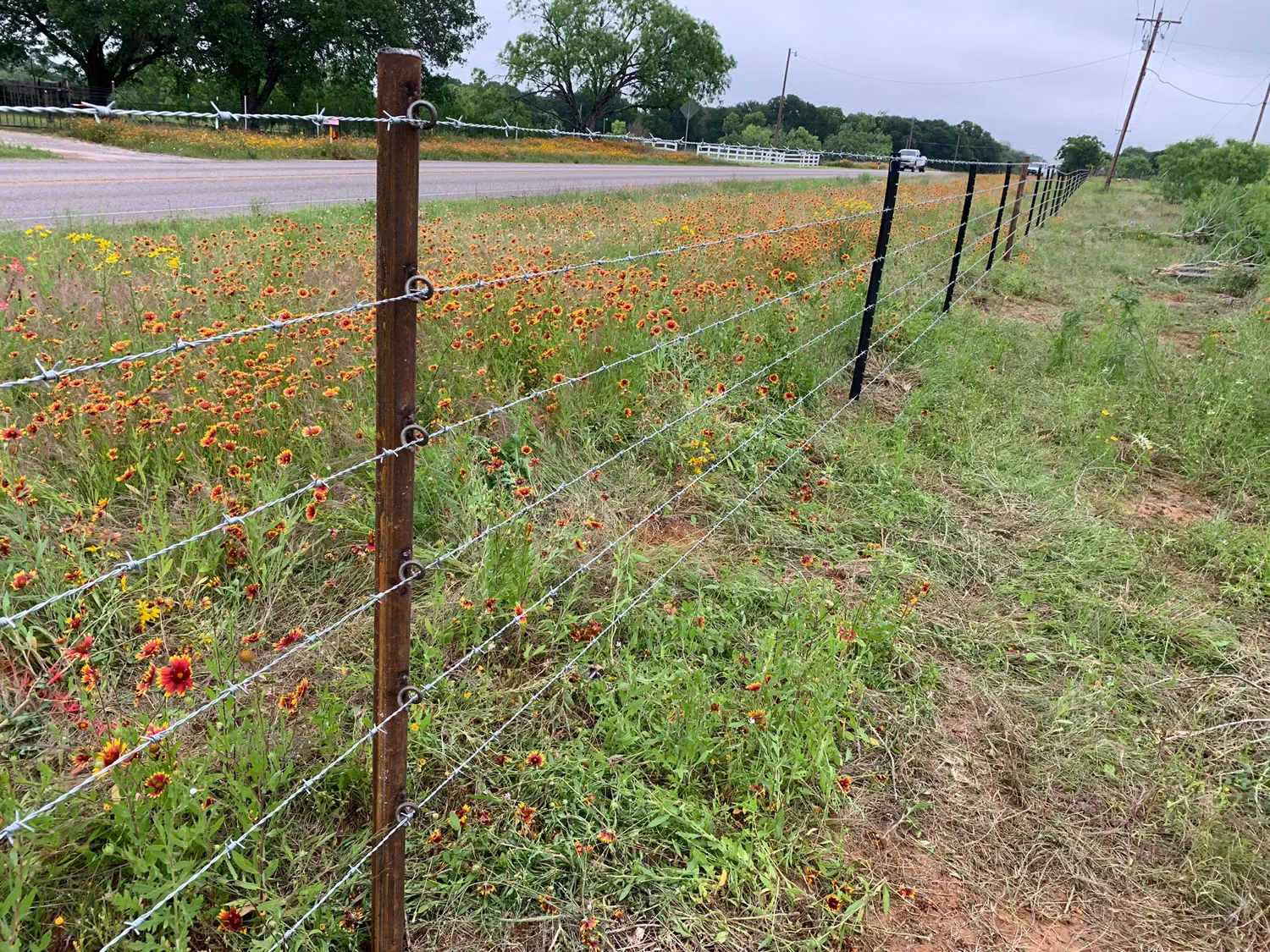 BarbWire Fencing | waldfencing