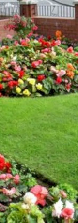 Landscape Irrigation Designers | Athom Designs