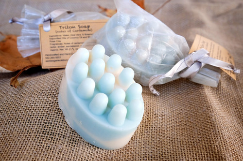 Triton Soap | aeridesgeneralstore