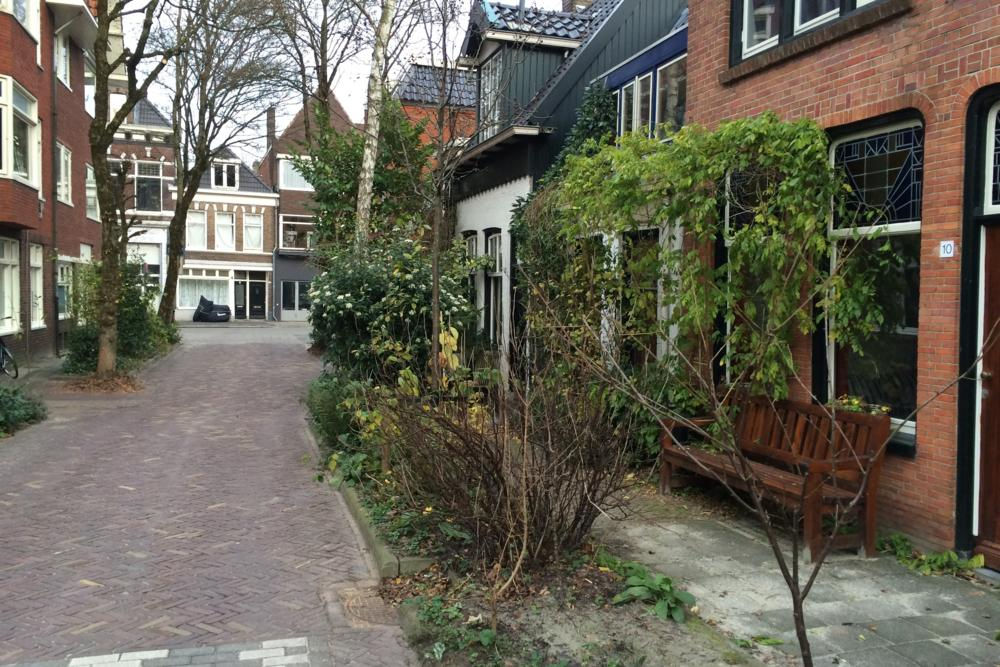 Woonerf: Inclusive and Livable Dutch Street