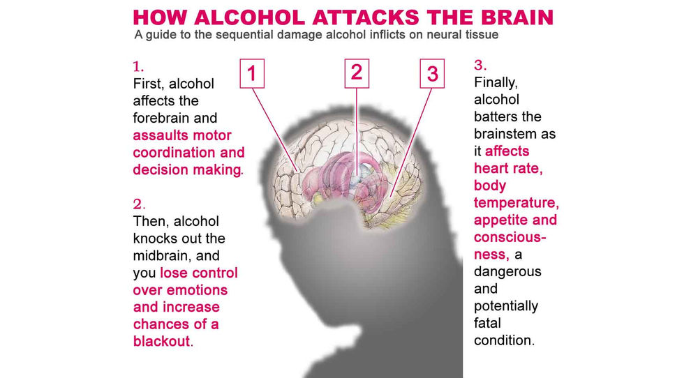 Alcohol Can Trigger Modifications In Brain