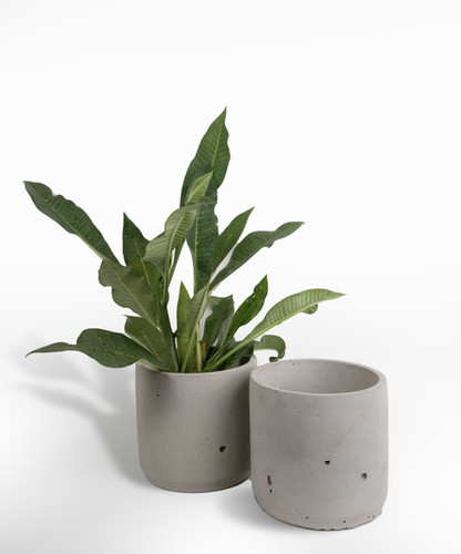 Slate Round Pot | Designs By Source