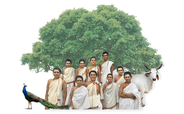 Home | Shankara Gurukulam