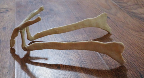 Equine 3D Hyoid | Equine Bodyworks