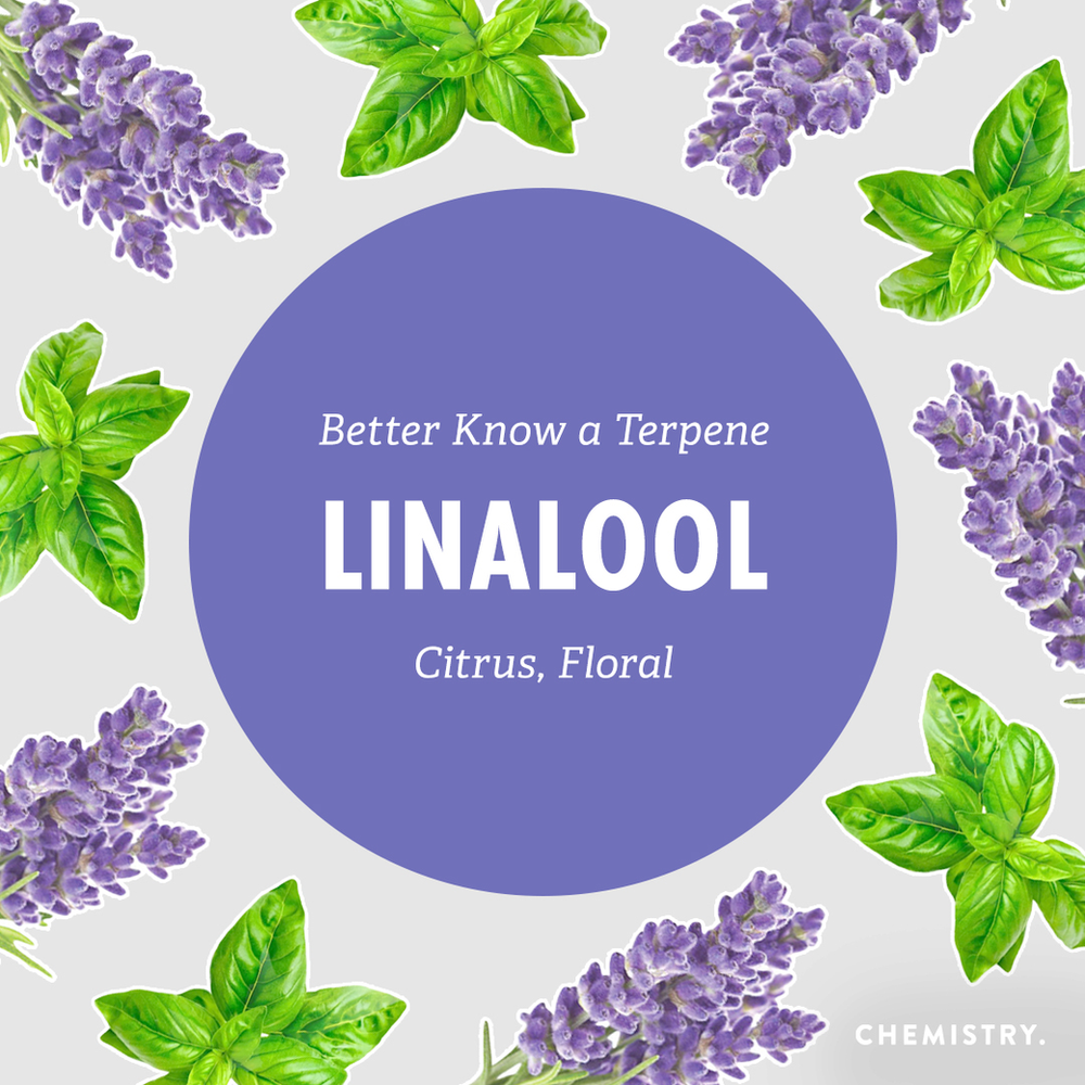 Better Know a Terpene: Linalool.