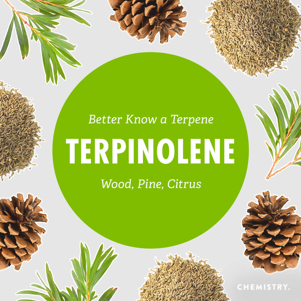 Better Know a Terpene: Terpinolene