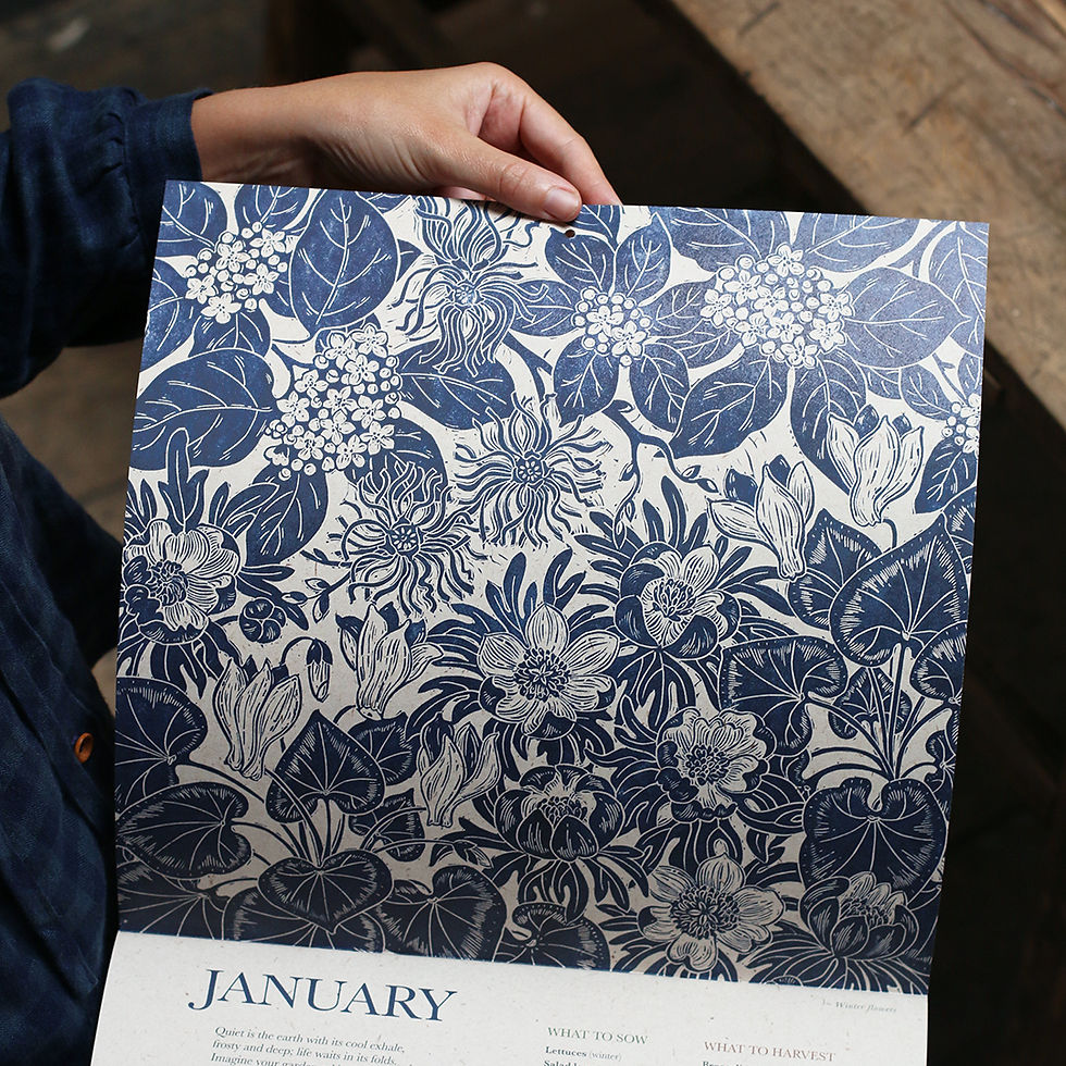 SHOP | isla-middleton