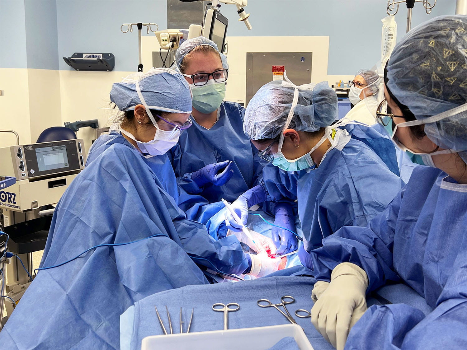Hands on Endourology Surgery Training Program