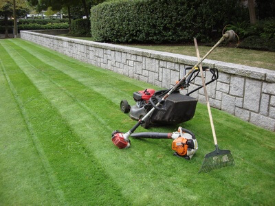 Spring Lawn Care Tips to Best Prepare For The Rest of Year