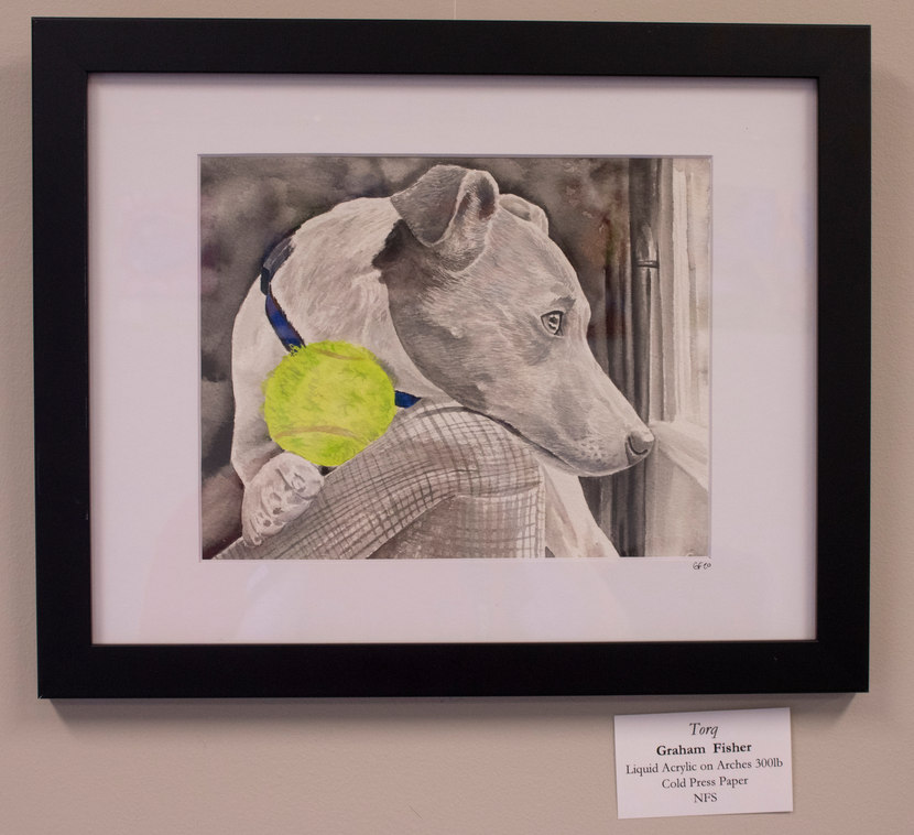 Falcon Gallery - 2020 Graham Fisher | FCA