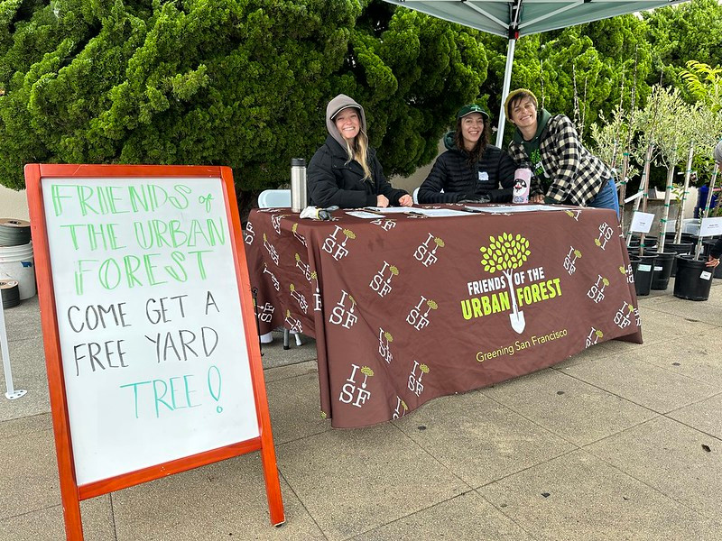 Adopt A Yard Tree Friendsofurbanforest