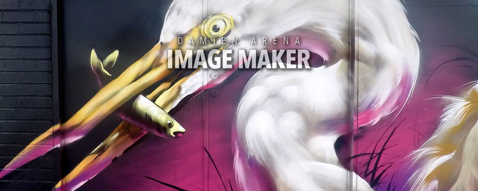 Damien Arena - Image Maker - Graffiti Artist for hire