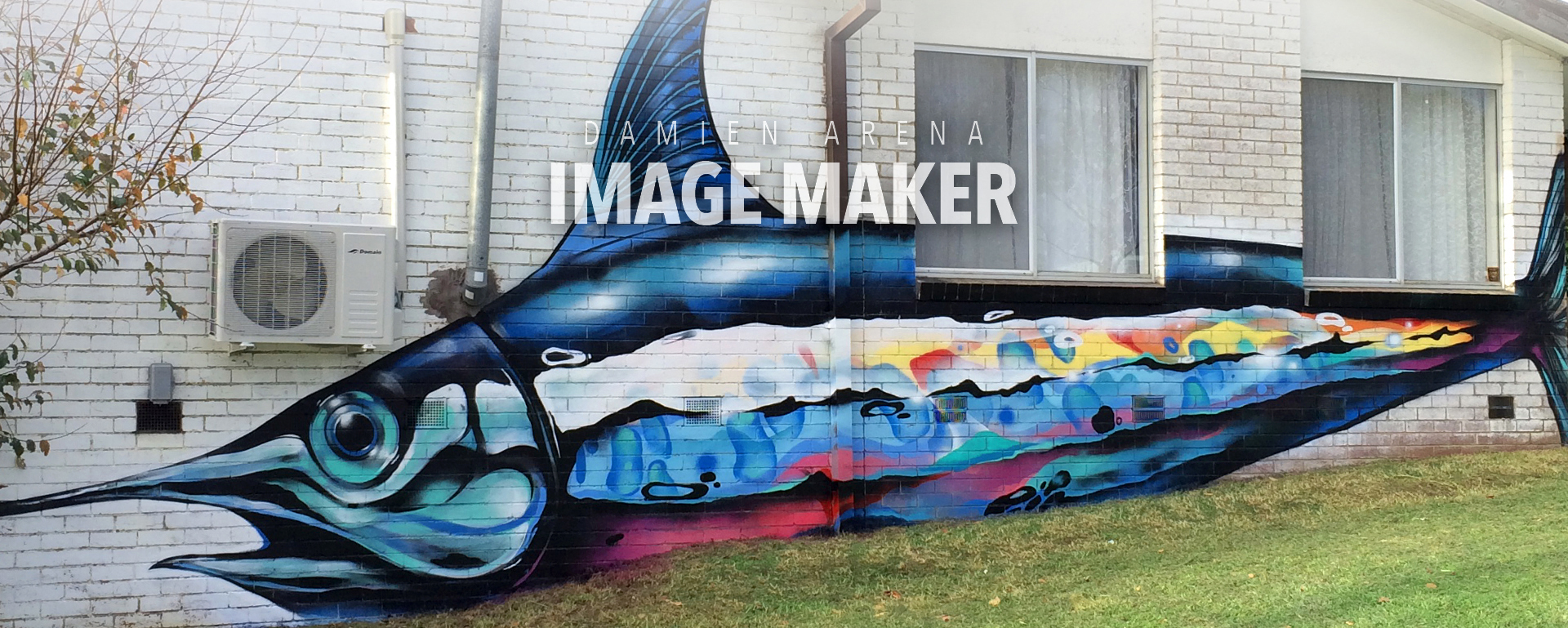 Damien Arena - Image Maker - Graffiti Artist for hire