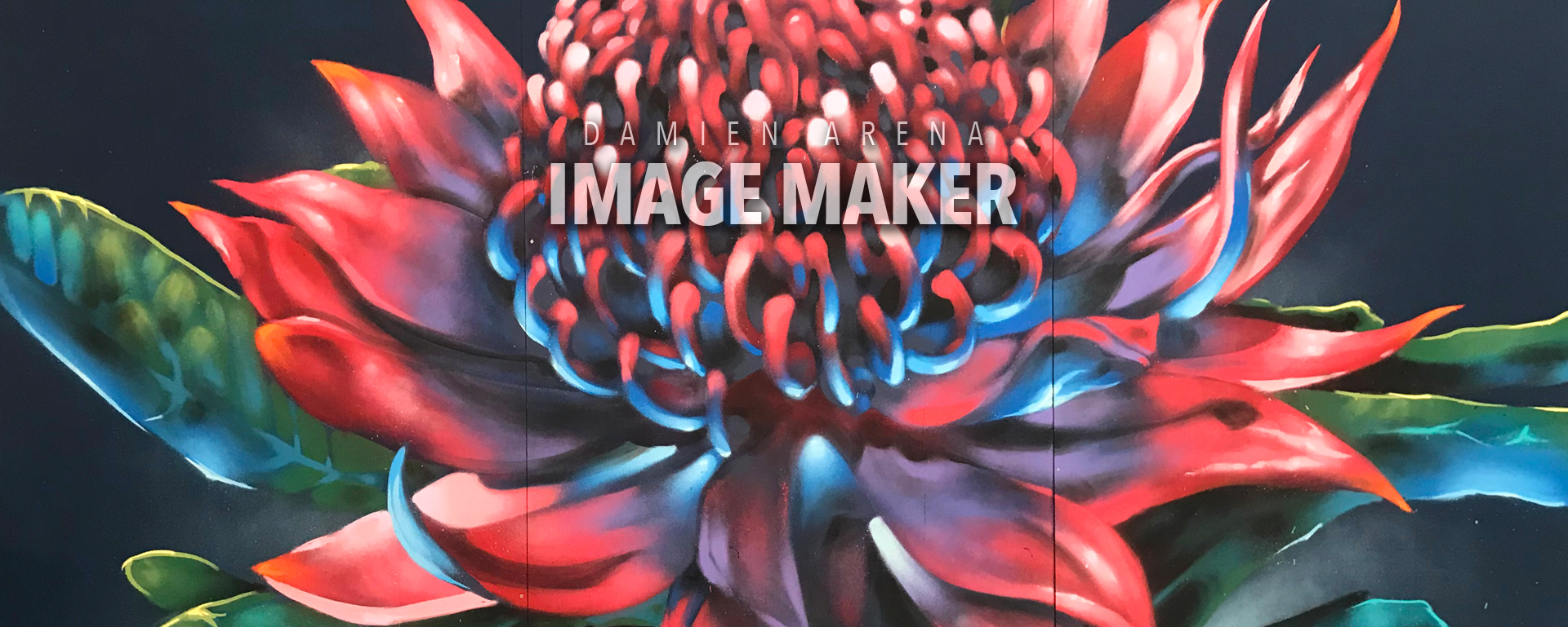 Damien Arena - Image Maker - Graffiti Artist for hire