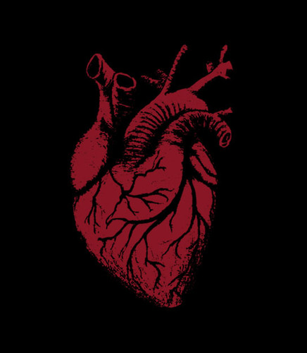 Big Heart - Anatomical Heart - Konton Ink Biro Art - Kid's fit T-shirt ...