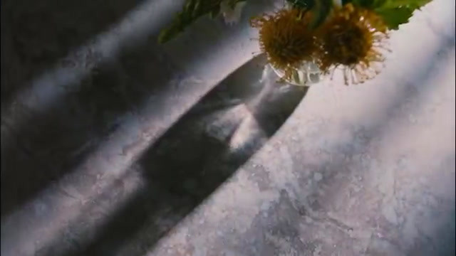 Adam Feder | Creative Director & Specialist | Copywriter