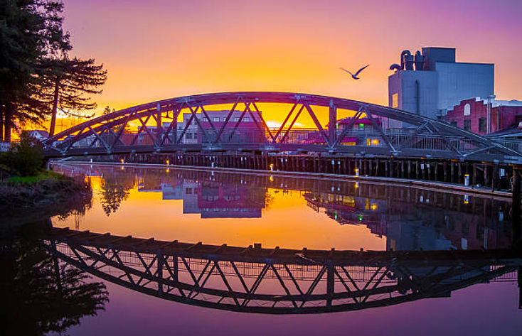 Riverfront Bar & Lounge | Plant Forward | Luma Bar & Eatery | Petaluma