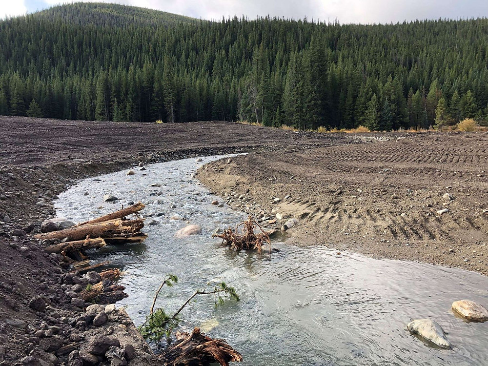 Cleaning up old mining sites