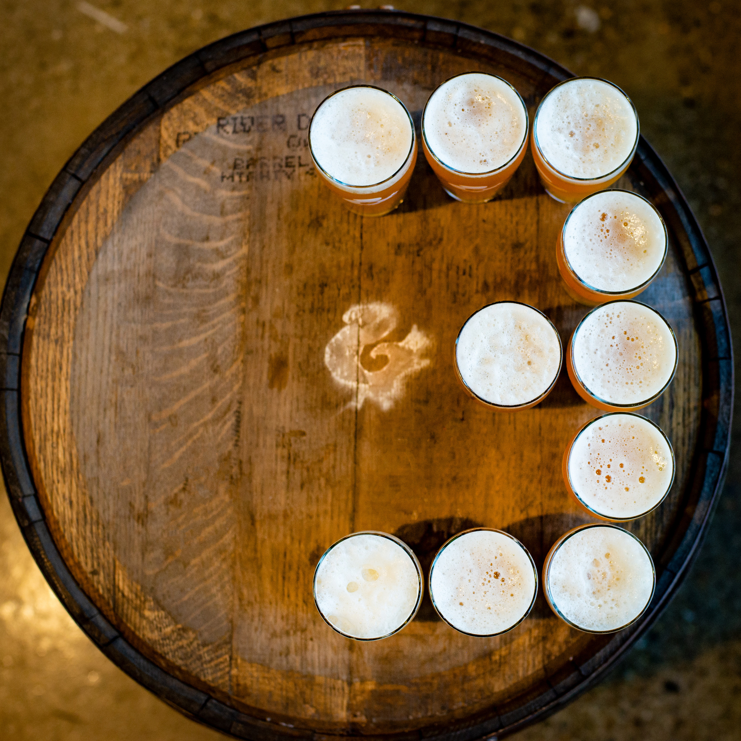 ANNIVERSARY | Mighty Squirrel