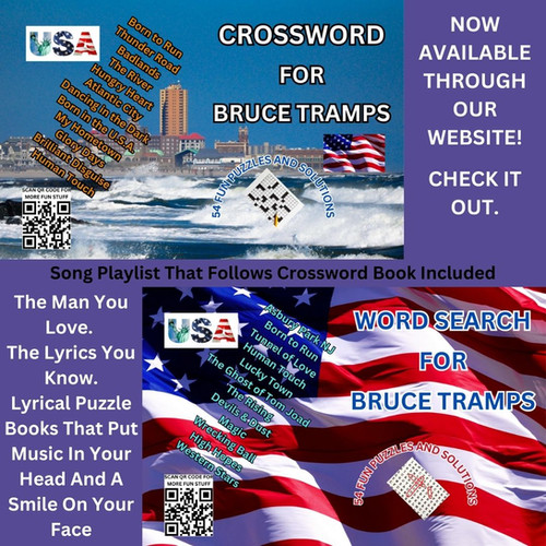 SPRINGSTEEN PUZZLE BOOK BUNDLE | Favorite Band Books