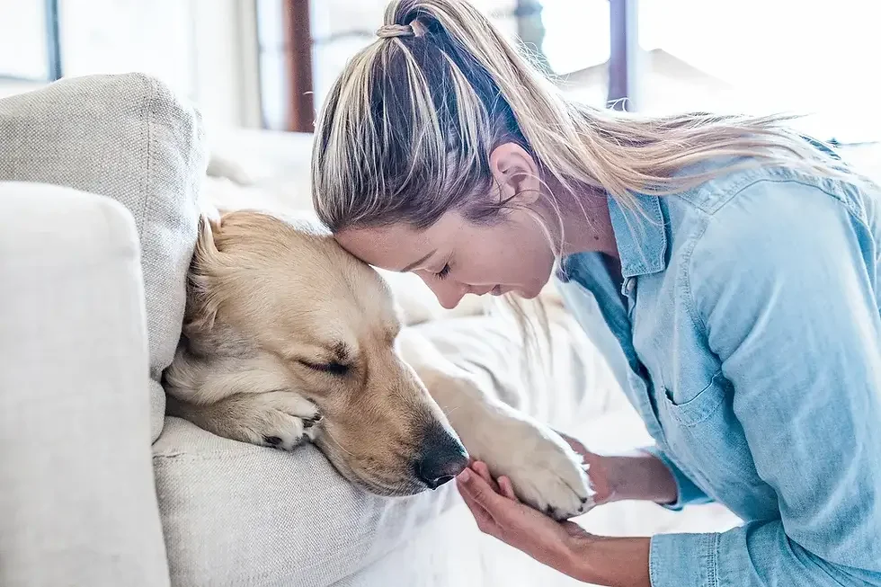 Is Dog Euthanasia Painful? Understanding the Process