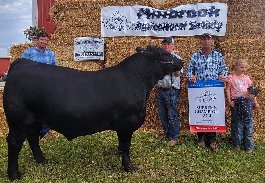 Beef Show | Millbrook Fair