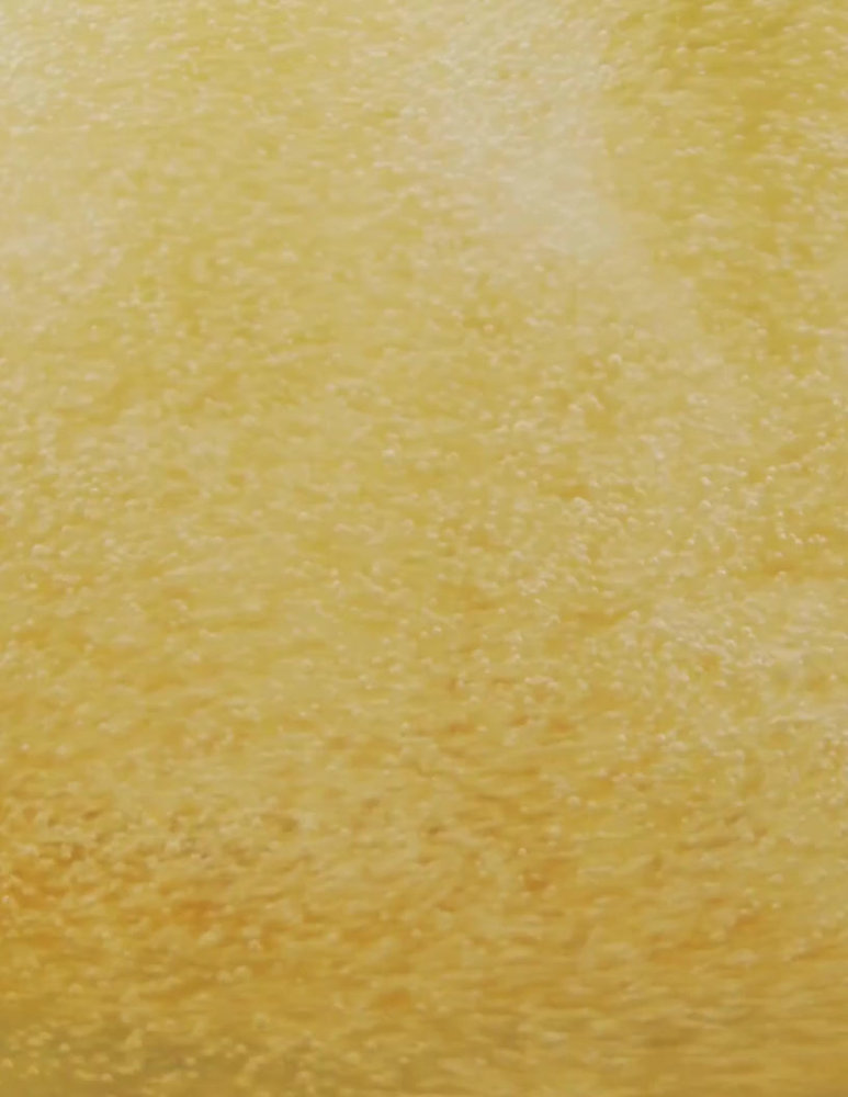 La Cabra Brewing - Lawn Jawn Event