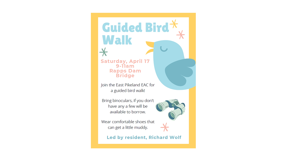 Guided Bird Walk