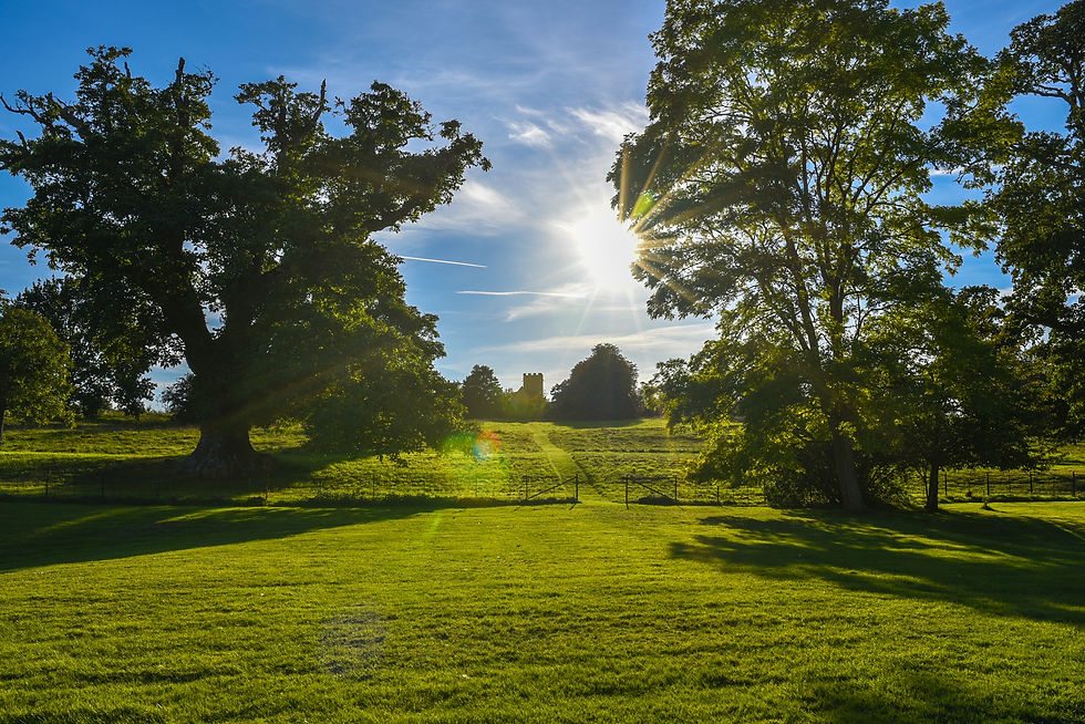 Boxted Hall | Suffolk | Gallery