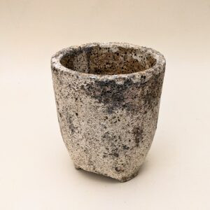 Claude | buzzby and fang